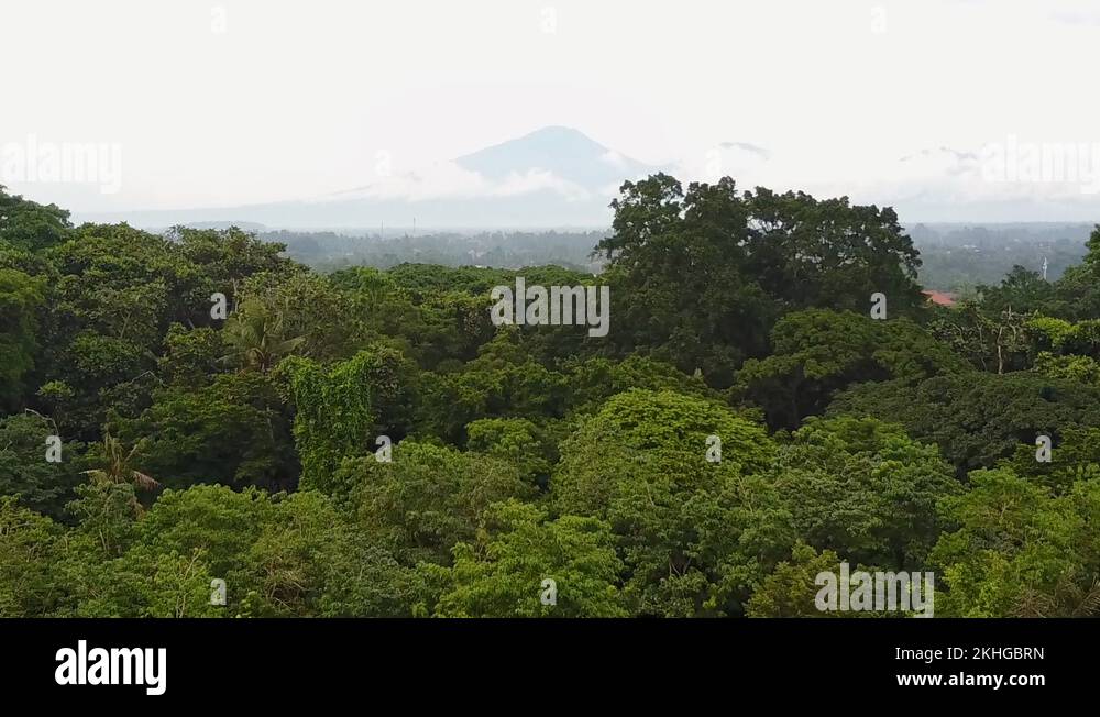 Volcano in rainforest Stock Videos & Footage - HD and 4K Video Clips ...