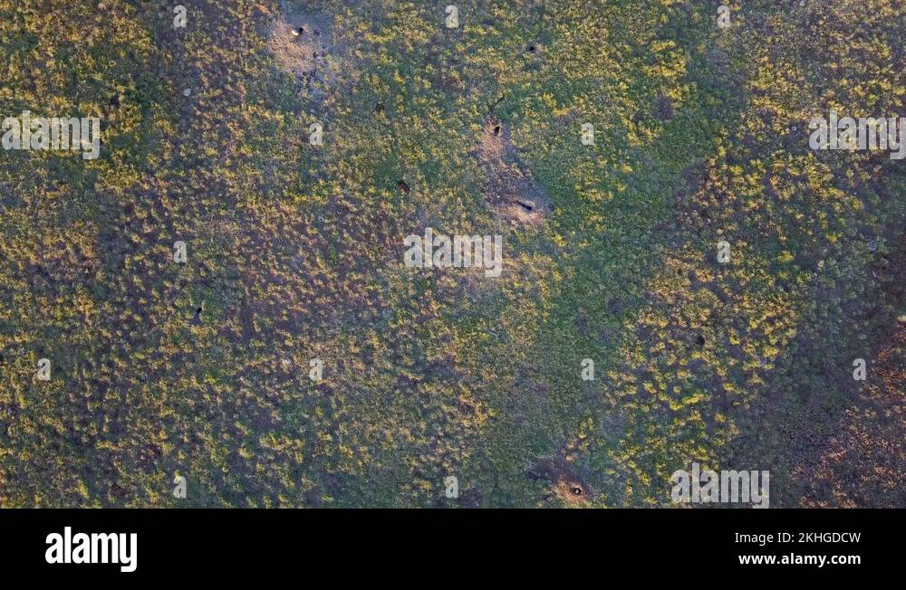 Dust rolling Stock Videos & Footage - HD and 4K Video Clips - Alamy