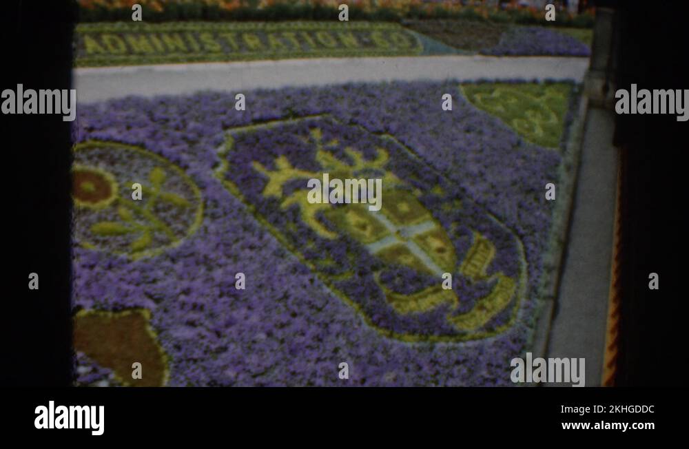 Family shield Stock Videos & Footage - HD and 4K Video Clips - Alamy