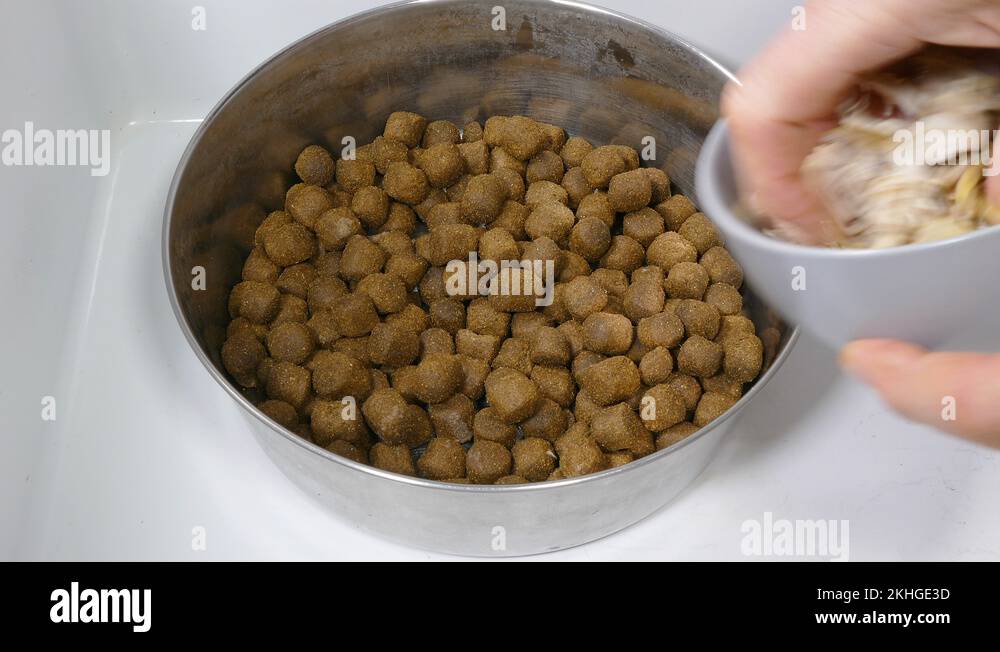 Cooked dog Stock Videos & Footage - HD and 4K Video Clips - Alamy