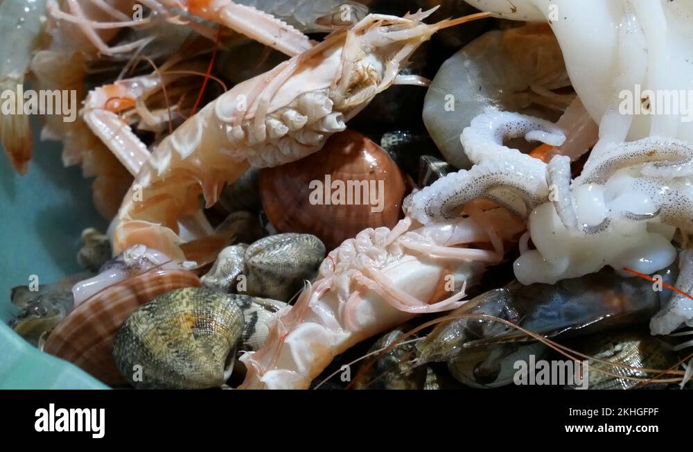 Fresh cooked seafood Stock Videos & Footage - HD and 4K Video Clips - Alamy