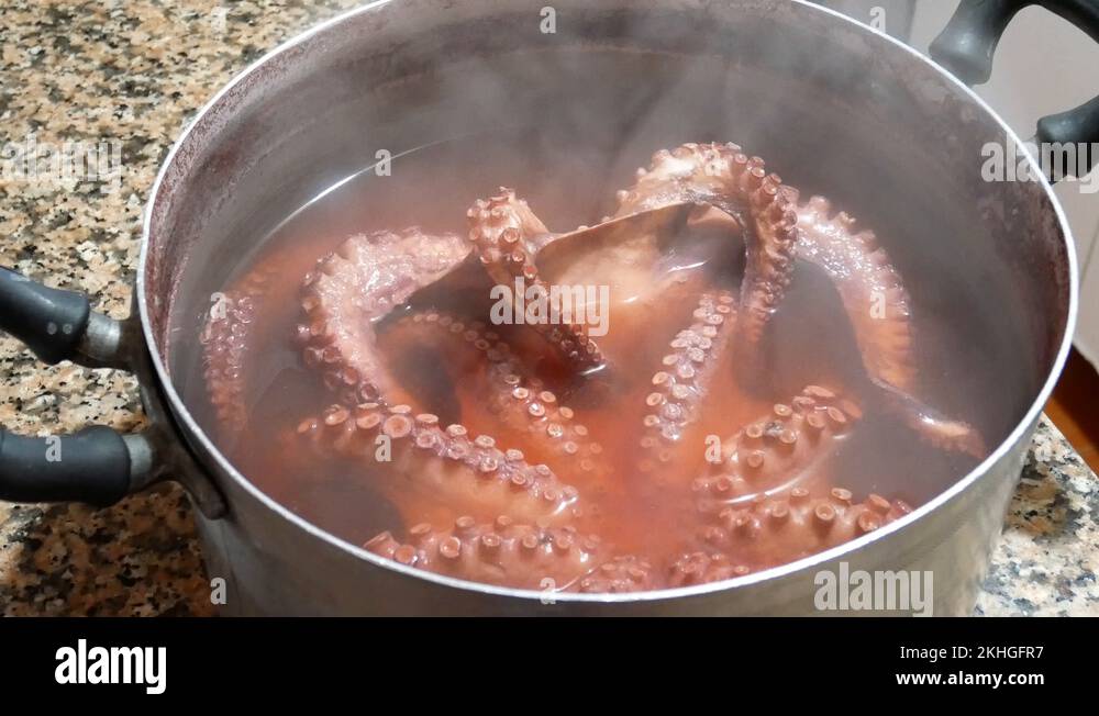 Steam octopus Stock Videos & Footage - HD and 4K Video Clips - Alamy