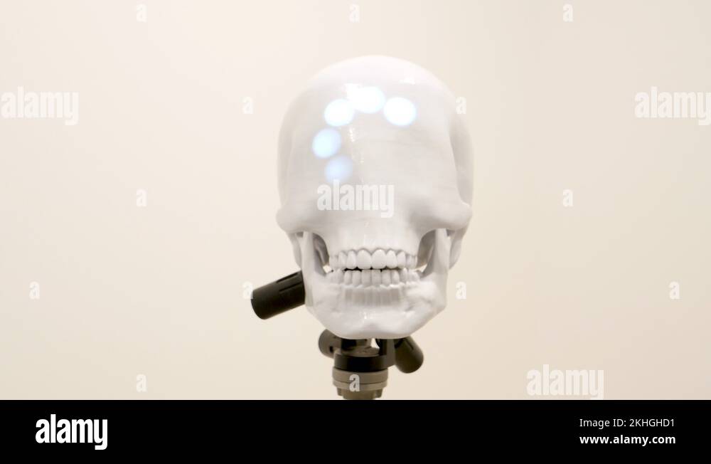 Human skull cup Stock Videos & Footage - HD and 4K Video Clips - Alamy