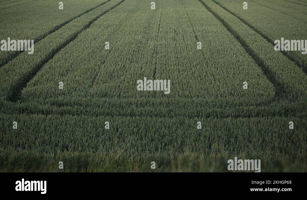 Tractor trail Stock Videos & Footage - HD and 4K Video Clips - Alamy