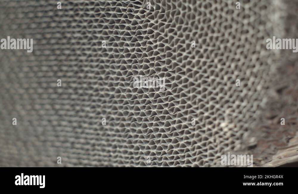 Mesh cells Stock Videos & Footage - HD and 4K Video Clips - Alamy