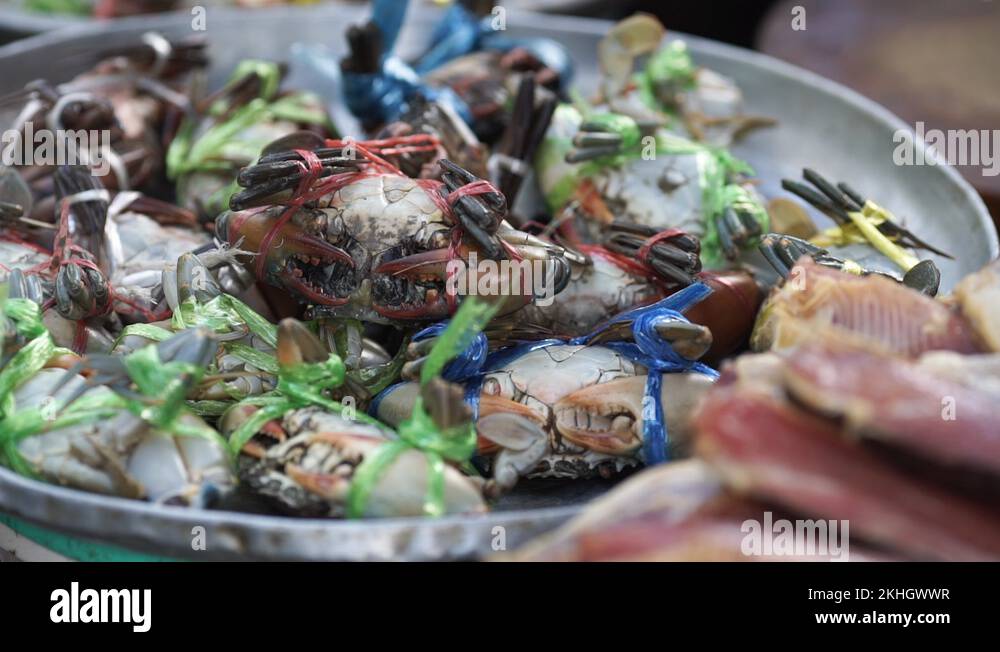 Seafood Stock Videos & Footage - HD and 4K Video Clips - Alamy