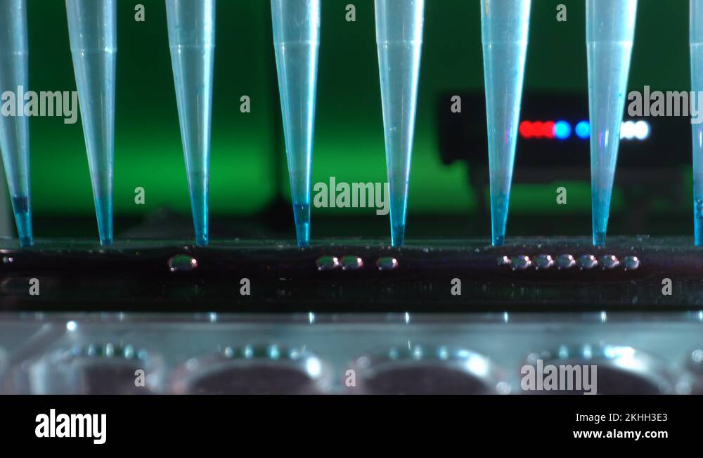 Automated DNA Processor real-time PCR cycler. PCR robotic machine for ...