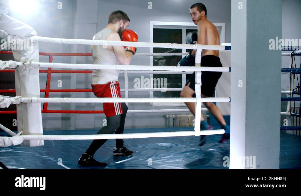 BOX - men in boxers gloves are training with each other on the ring ...