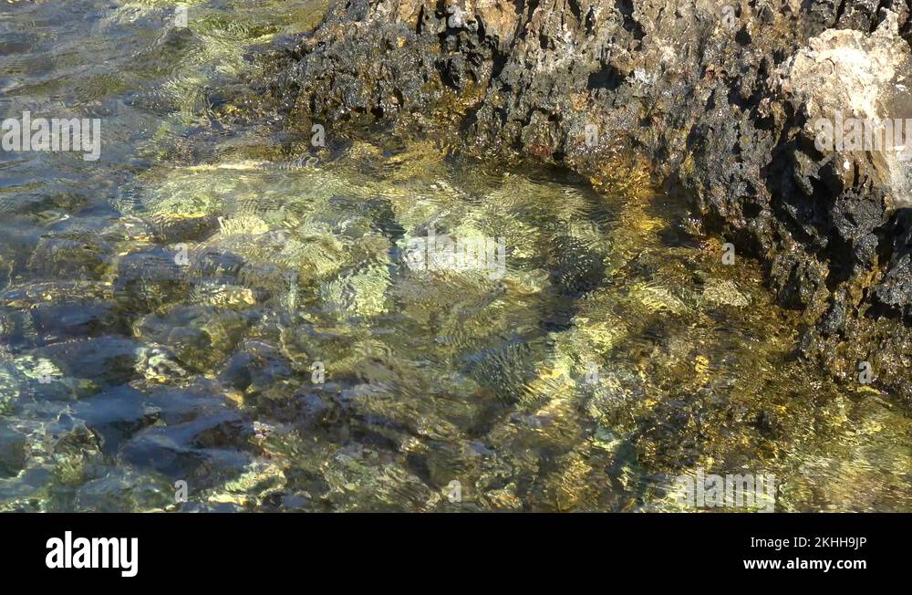 Zoom out rippling sparkling sea water washes a rock Stock Video Footage ...