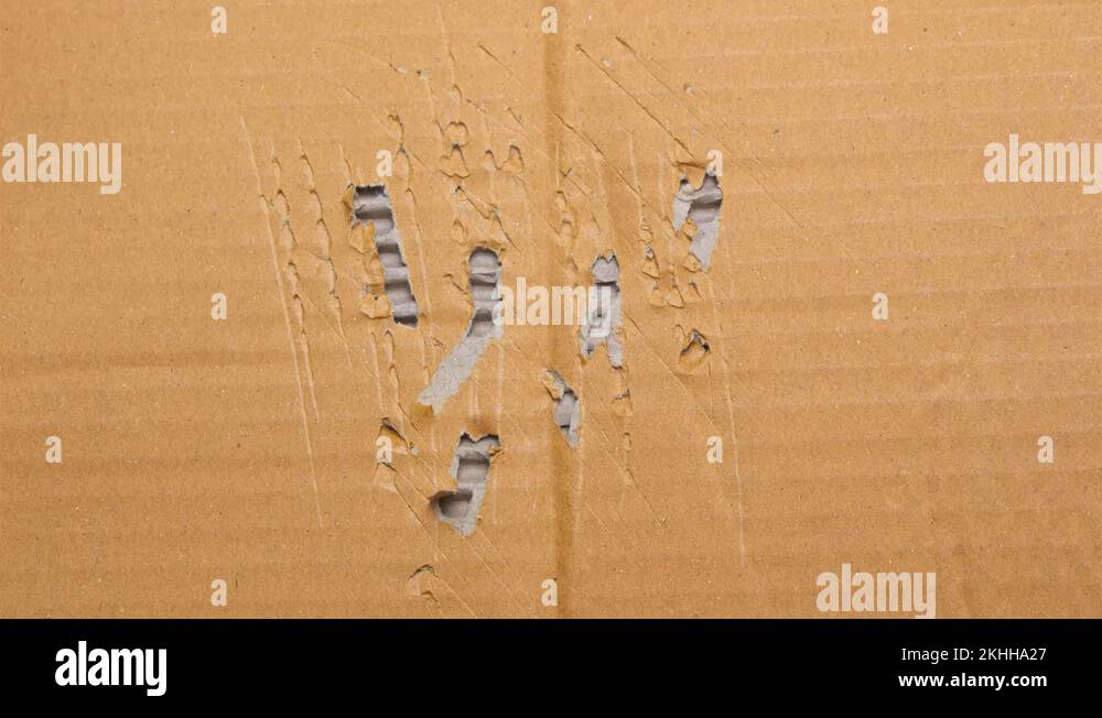 Background corrugated cardboard Stock Videos & Footage - HD and 4K ...