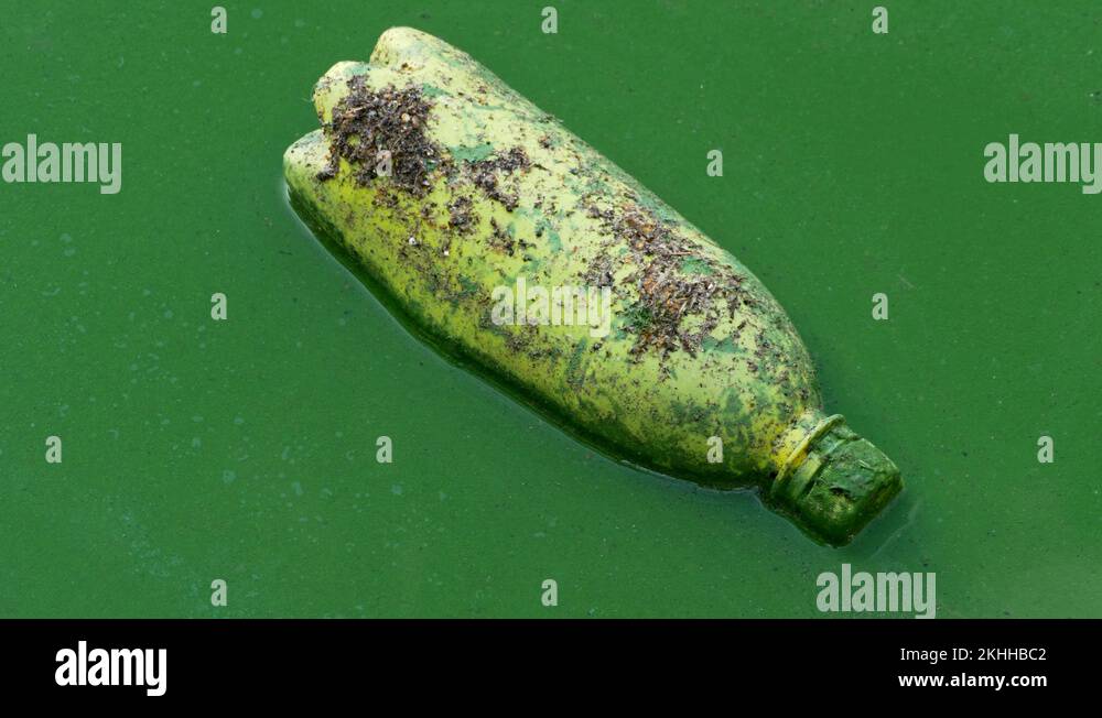 Cyanobacteria blue green algae and garbage in water Stock Video Footage ...