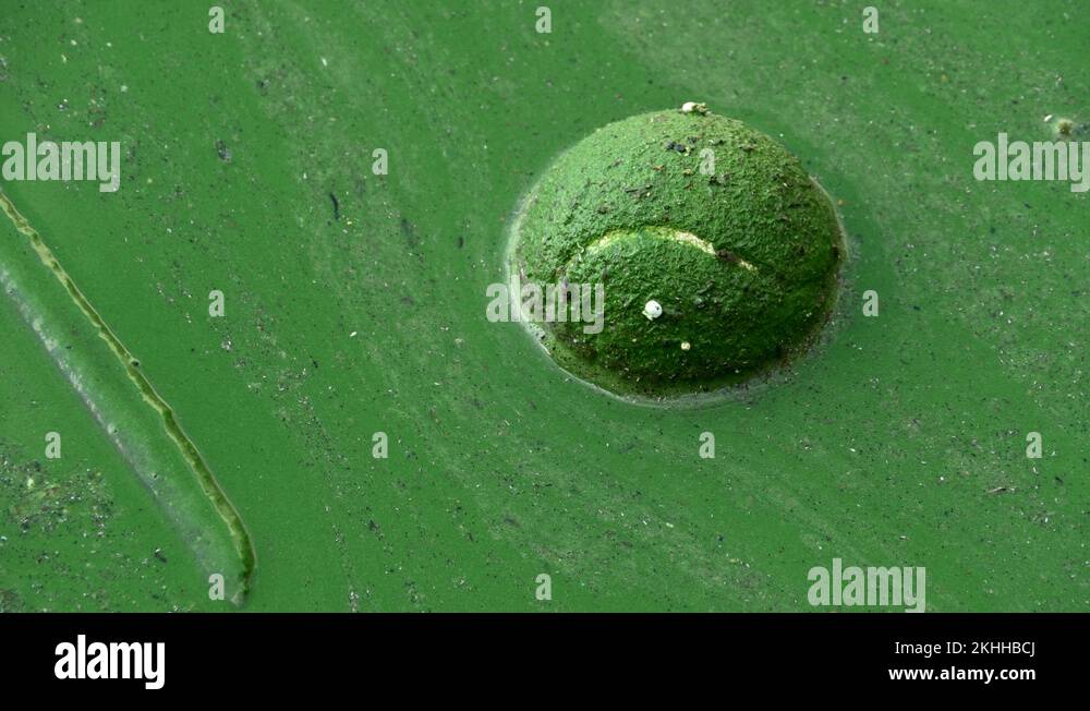 Floating tennis ball Stock Videos & Footage - HD and 4K Video Clips - Alamy
