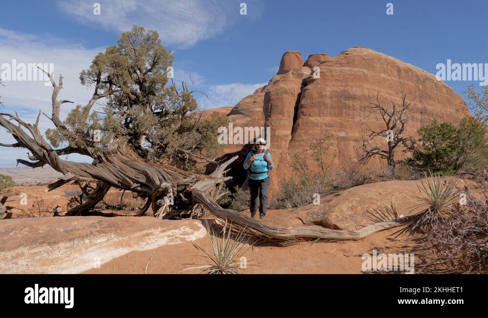 Desert rest stops Stock Videos & Footage - HD and 4K Video Clips - Alamy