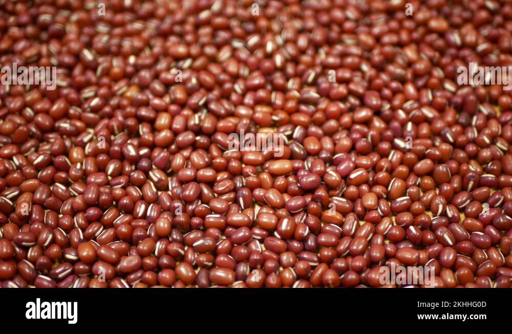 Red gram farming Stock Videos & Footage - HD and 4K Video Clips - Alamy