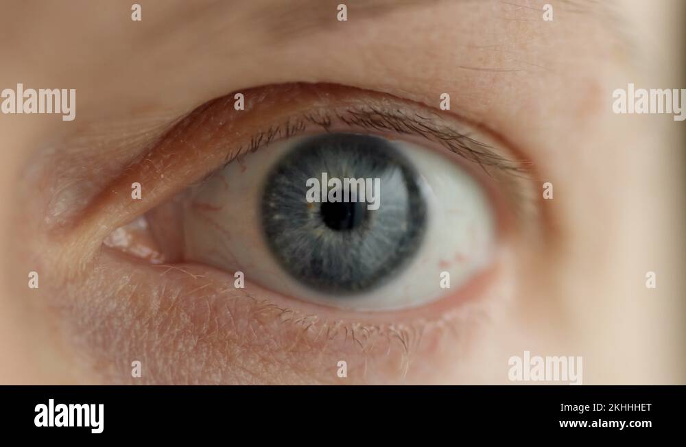 Visual perception eye Stock Videos & Footage - HD and 4K Video Clips ...