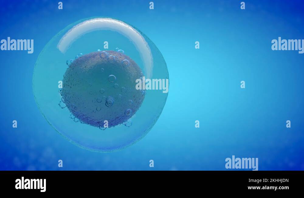IVF cell and needle injecting, 3D CGI render with blue color Stock ...