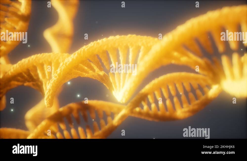 double helical structure of dna strand close-up animation Stock Video ...