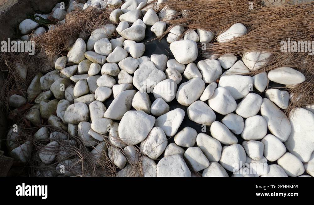 Pebble garden pattern Stock Videos & Footage - HD and 4K Video Clips ...