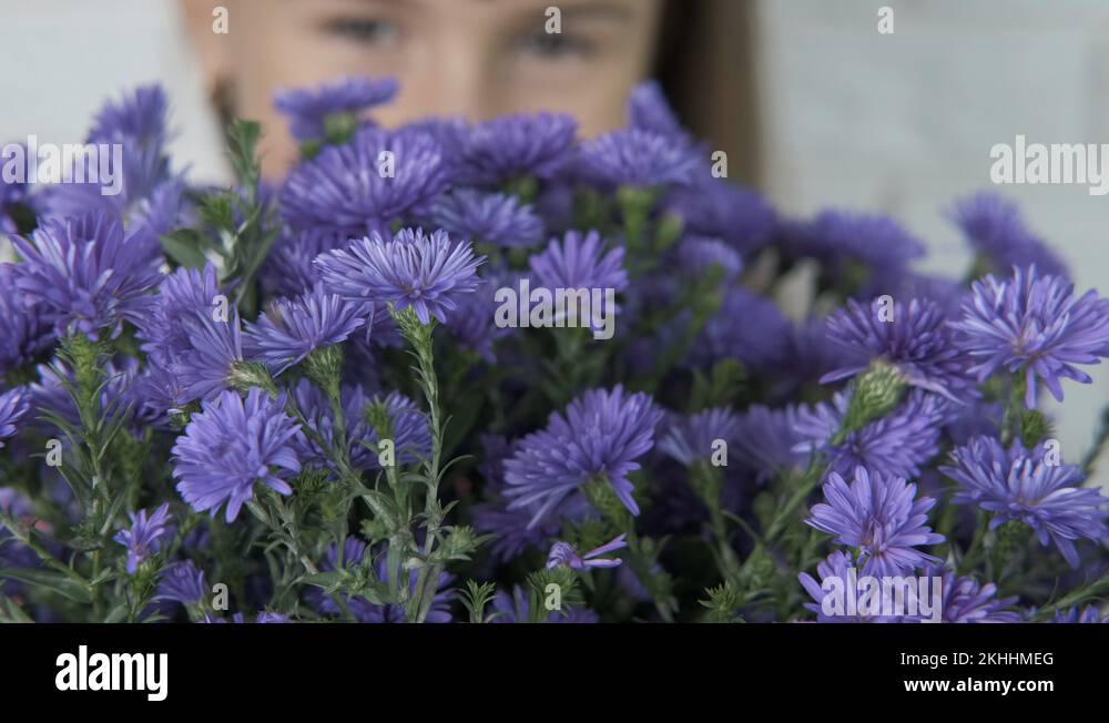 Behind flowers Stock Videos & Footage - HD and 4K Video Clips - Alamy