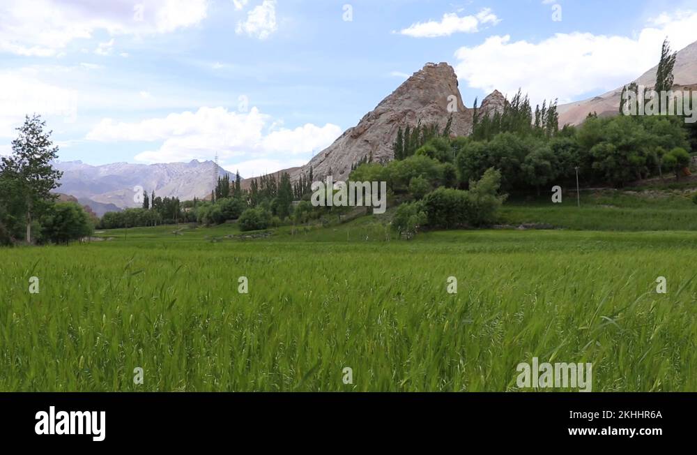 Villagelandscapeofladakh Stock Videos & Footage - HD and 4K Video Clips ...
