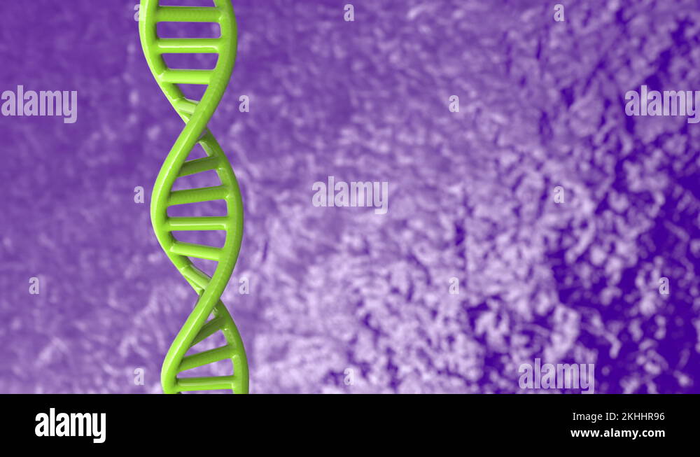3D structural model of a DNA double helix. Isolated looped rotation of ...