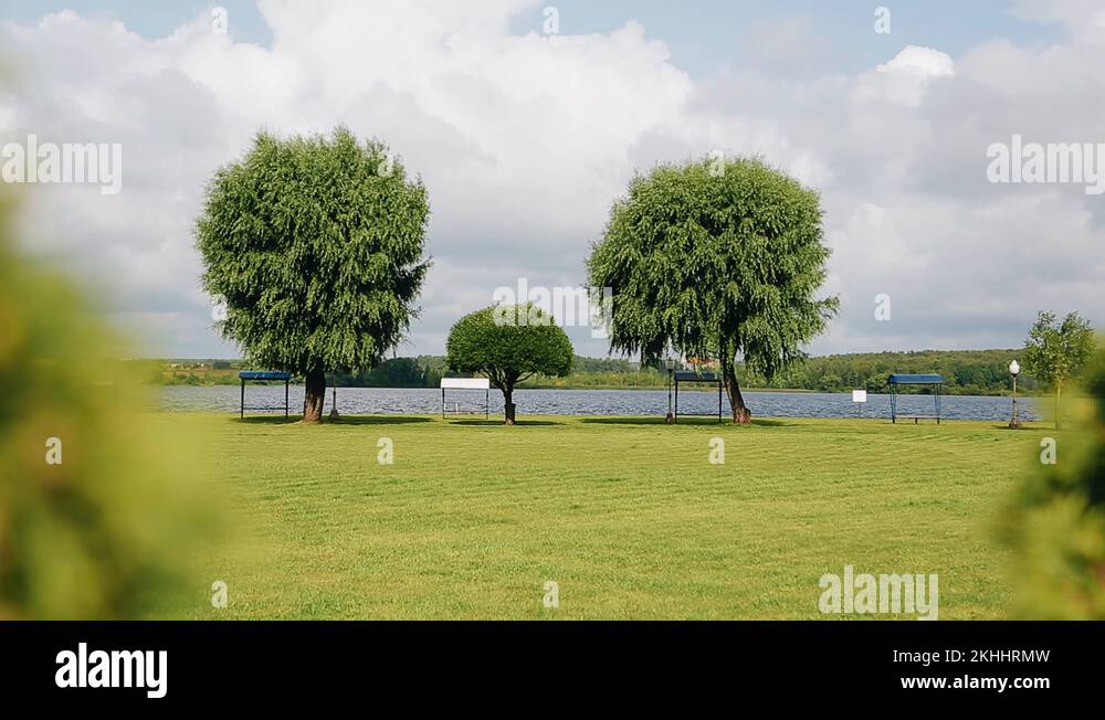 The beautiful shore of the lake. Green tree. A plane is flying in the ...