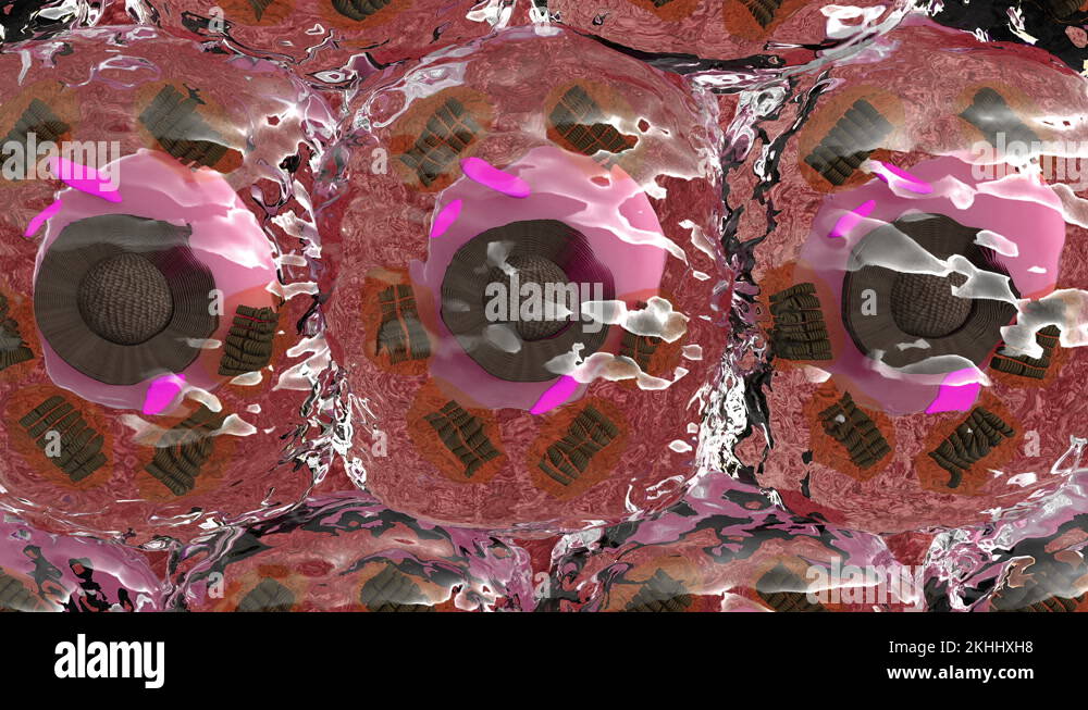 Looped 3D animation of plant cells in the zoom in. Microscopy of the ...