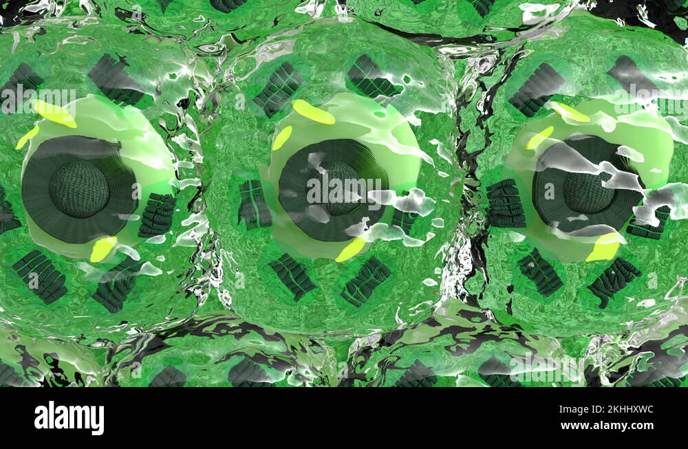 Looped 3D animation of plant cells in the zoom in. Microscopy of the ...