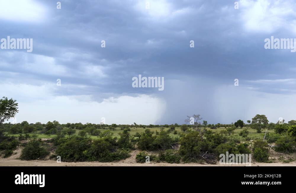 Thunderstorm lighting animal Stock Videos & Footage - HD and 4K Video ...