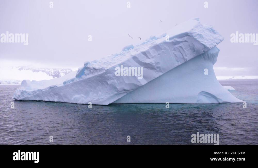 Iceberg in water antarctica Stock Videos & Footage - HD and 4K Video ...