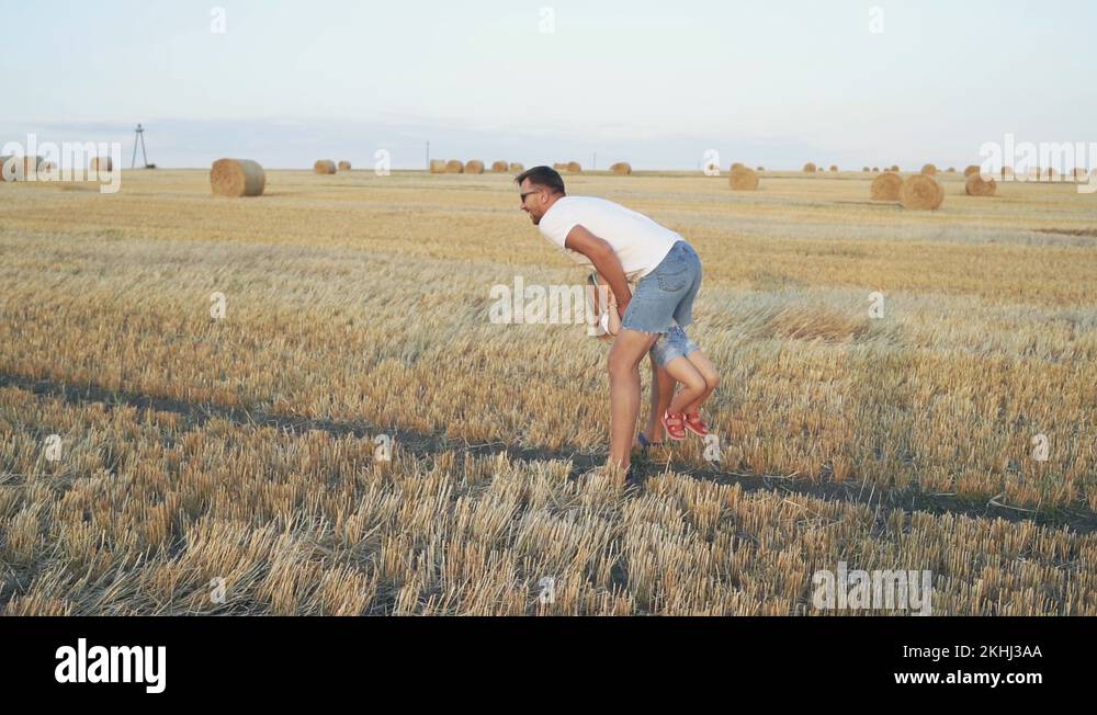 Stubbles Stock Videos & Footage - HD and 4K Video Clips - Alamy