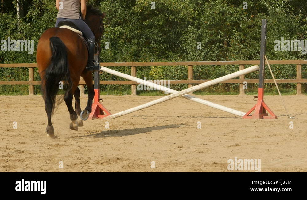 Jockey ride action Stock Videos & Footage - HD and 4K Video Clips - Alamy