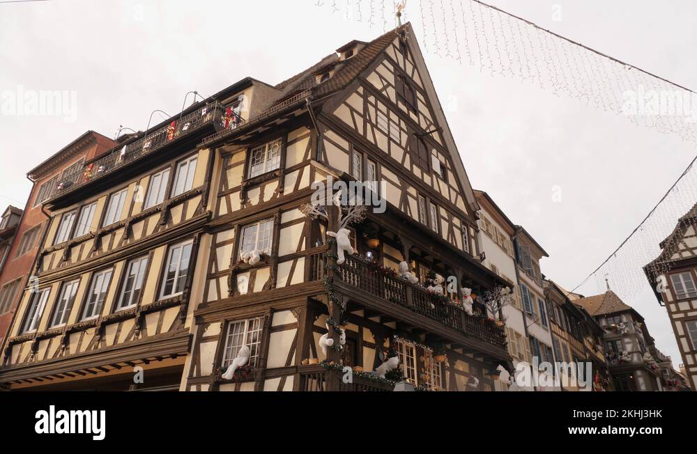 Cochons cochons cochons cochons cochons cochons cochons Stock Videos ...