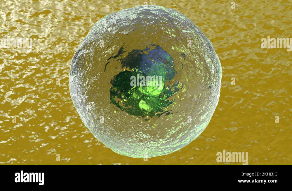 3D Looped animation of eukaryotic cell movement on a yellow background ...