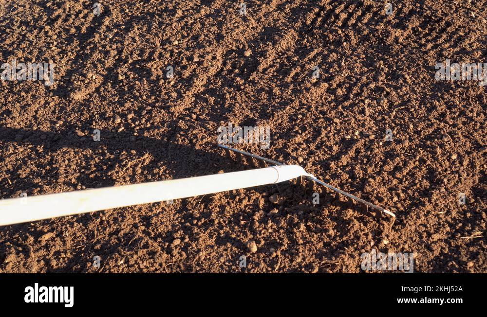 Rake lawn seed Stock Videos & Footage - HD and 4K Video Clips - Alamy