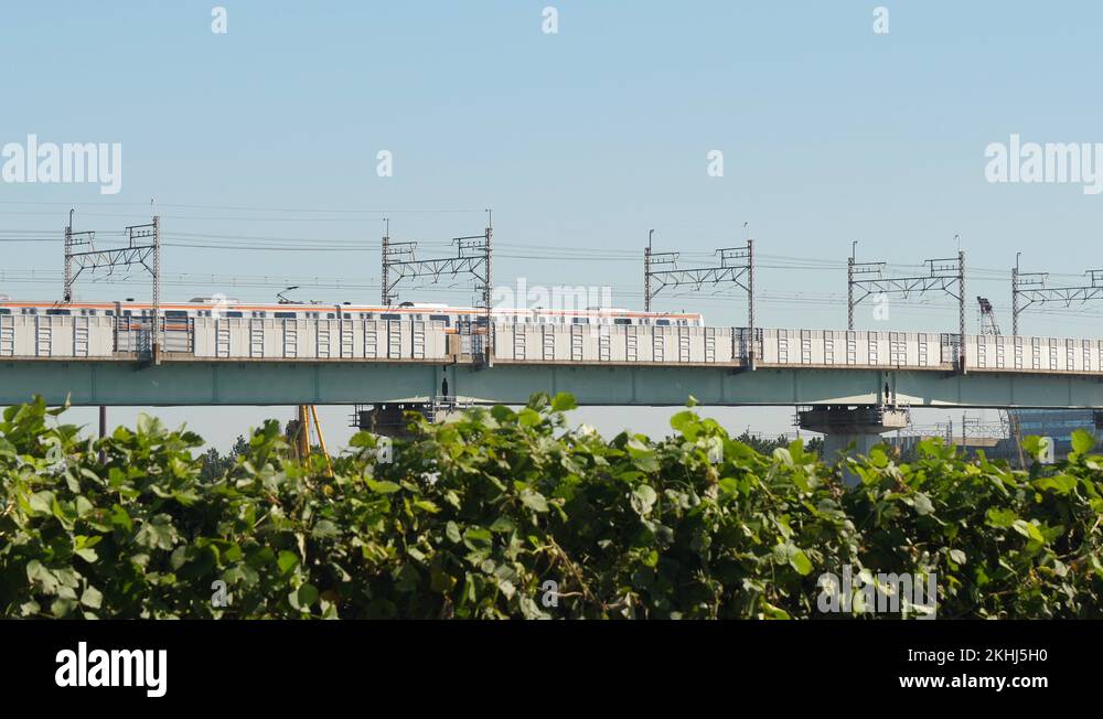 Skyway train Stock Videos & Footage - HD and 4K Video Clips - Alamy