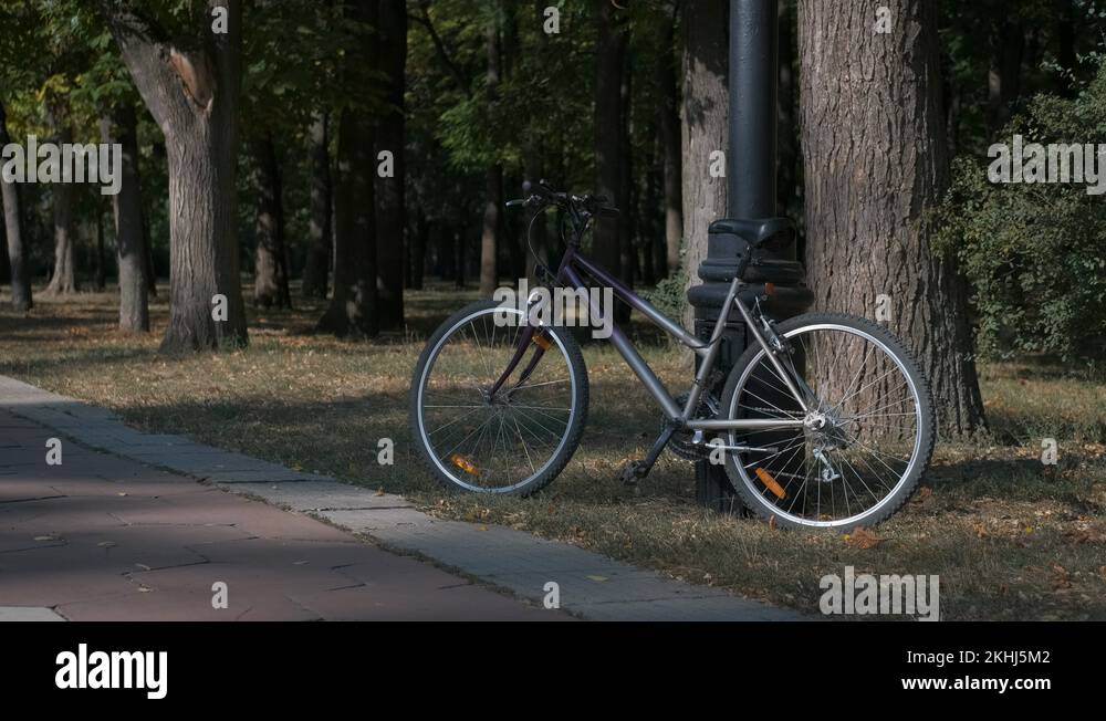 Lost cycle Stock Videos & Footage - HD and 4K Video Clips - Alamy