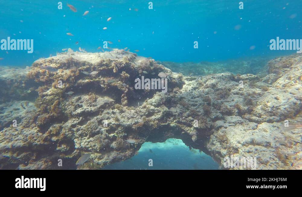 Arch bottom Stock Videos & Footage - HD and 4K Video Clips - Alamy