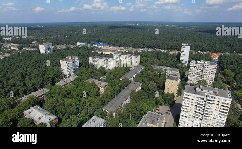 Drowning tree Stock Videos & Footage - HD and 4K Video Clips - Alamy