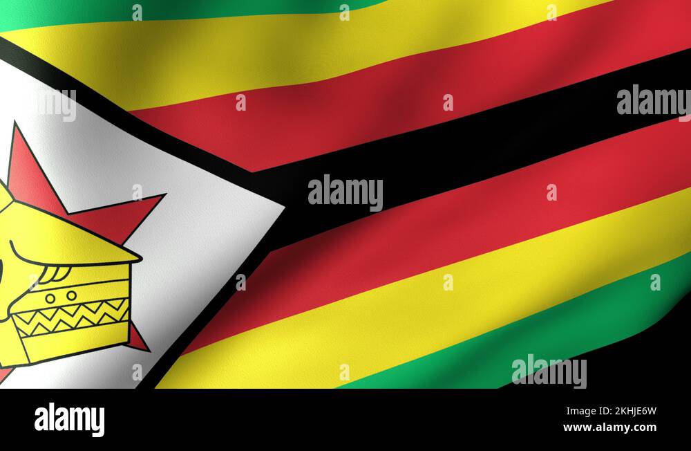 Zimbabwe immigration Stock Videos & Footage - HD and 4K Video Clips - Alamy