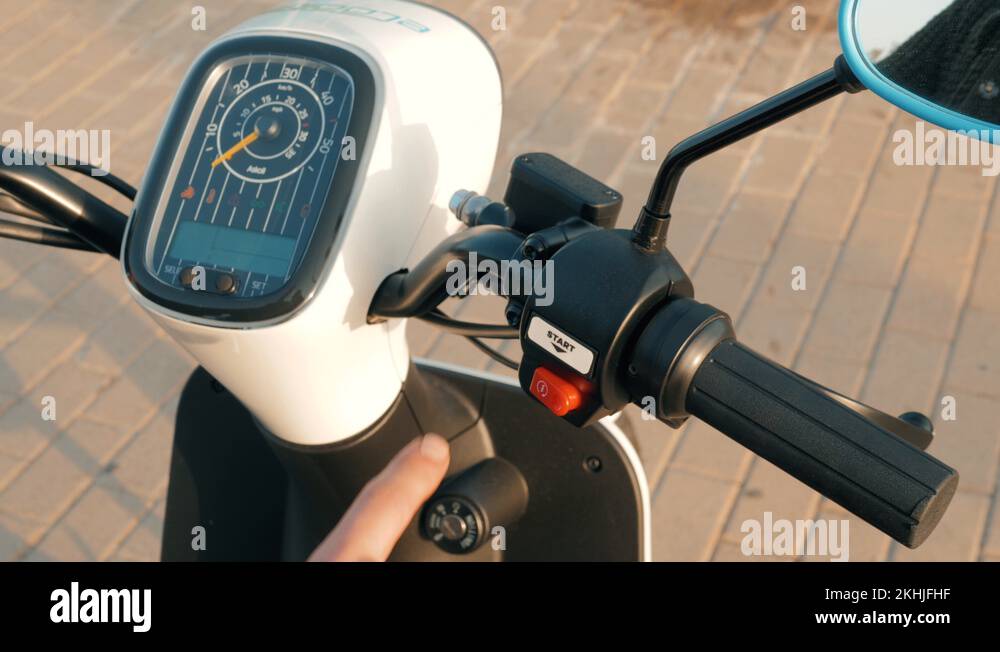 Bird with button Stock Videos & Footage - HD and 4K Video Clips - Alamy