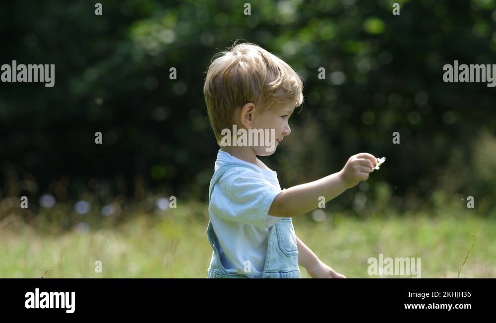 Gentle little child give flower to mother to smell, innocent gift Stock ...
