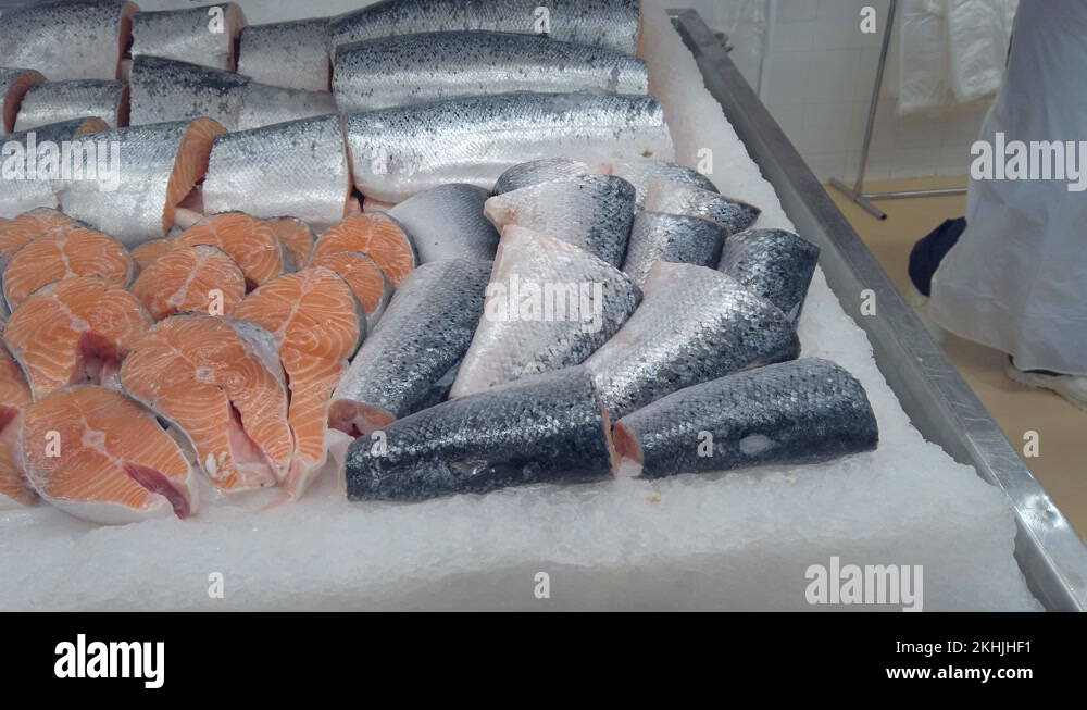 Salmon fish counter Stock Videos & Footage - HD and 4K Video Clips - Alamy