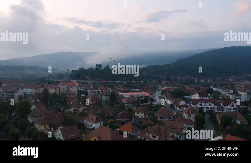 Transylvania birds Stock Videos & Footage - HD and 4K Video Clips - Alamy