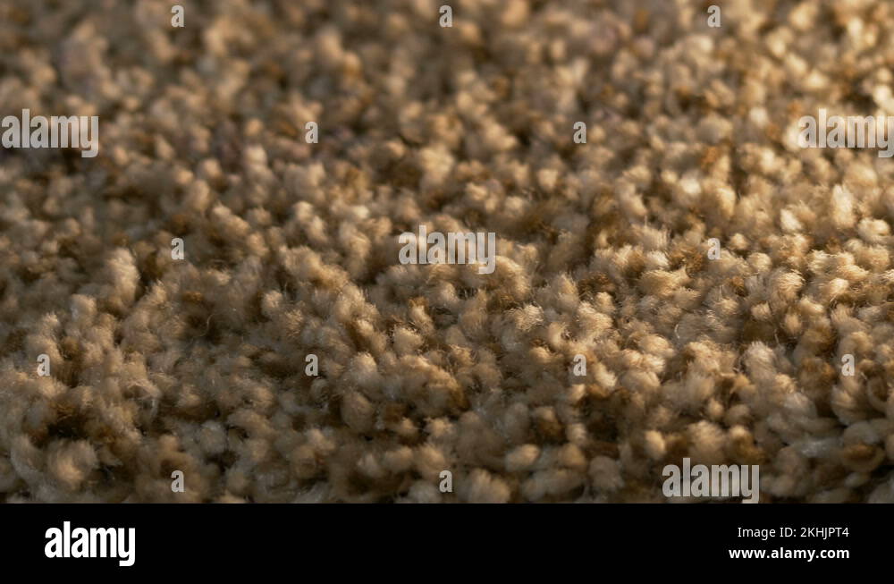 Beige carpet texture Stock Videos & Footage - HD and 4K Video Clips - Alamy