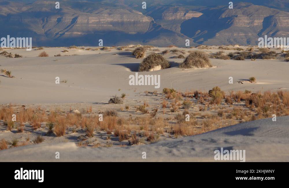 Gypsum desert Stock Videos & Footage - HD and 4K Video Clips - Alamy