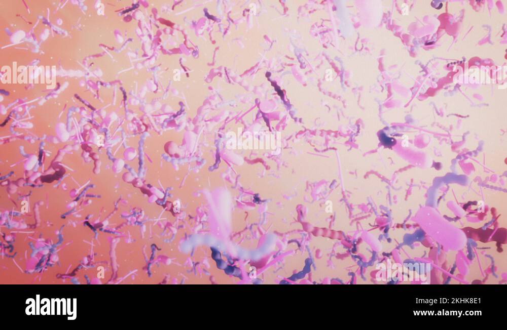 Microbes and intestines Stock Videos & Footage - HD and 4K Video Clips ...