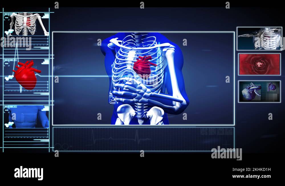 Heart artery skeleton Stock Videos & Footage - HD and 4K Video Clips ...