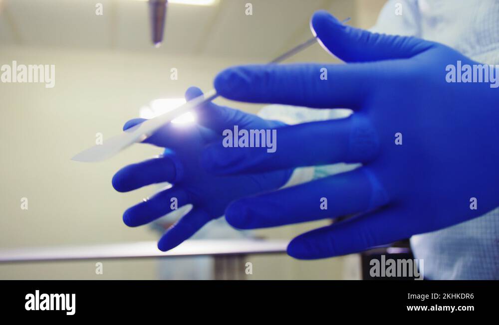 Cell plate plant cell Stock Videos & Footage - HD and 4K Video Clips ...