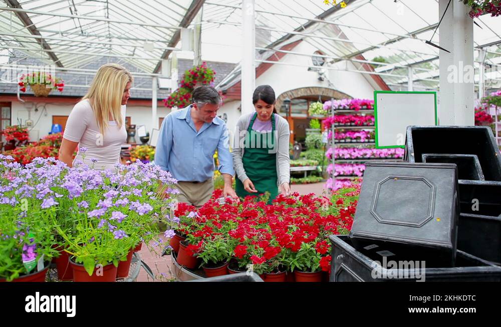 Planting centre Stock Videos & Footage - HD and 4K Video Clips - Alamy